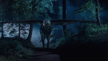 Griffin | Merlin Wiki | Fandom