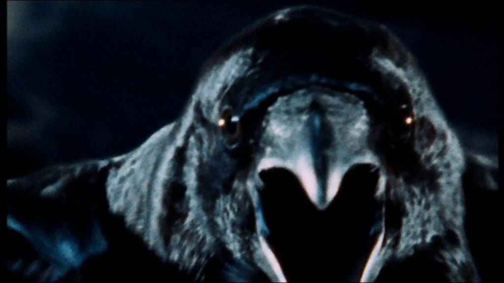 Corbeau | Wiki Merlin | Fandom