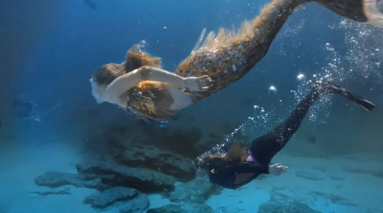 Coral (A Mermaid's Tale) | Mermaid Wiki | Fandom