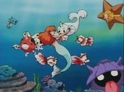 Misty/Gallery | Mermaid Wiki | Fandom
