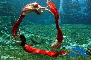 Weeki Wachee Springs | Mermaid Wiki | Fandom
