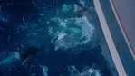 Mermaids (Once Upon a Time) | Mermaid Wiki | Fandom