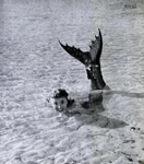 Lenore | Mermaid Wiki | Fandom
