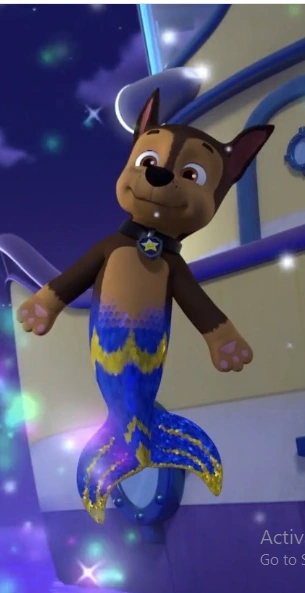 Chase/Gallery | Mermaid Wiki | Fandom