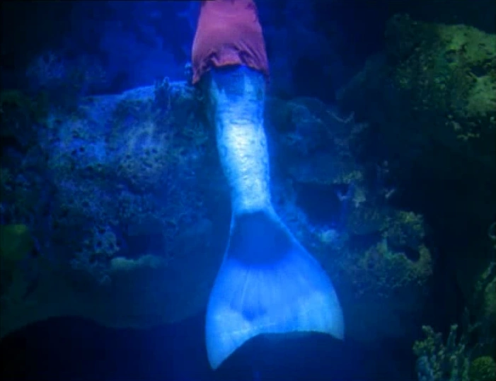 Transformation | Mermaids Wiki | Fandom