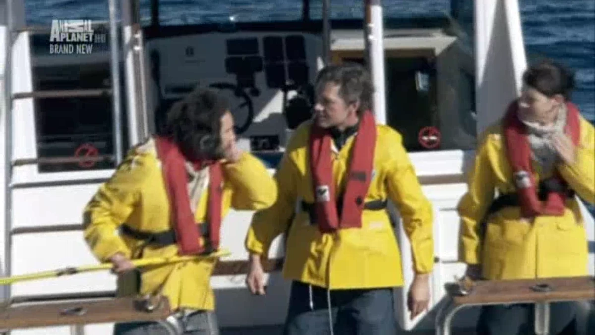 Human | Mermaids: The Body Found Wiki | Fandom