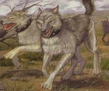 War-wolves of Angmar | The New Notion Club Archives | Fandom