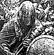 Poka | The New Notion Club Archives | Fandom