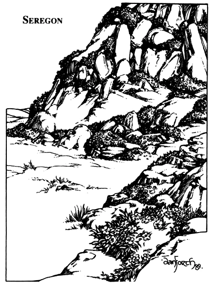 Seregon (Plant) | The New Notion Club Archives | Fandom