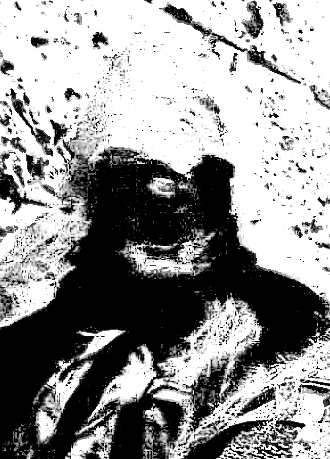 Radbug | The New Notion Club Archives | Fandom