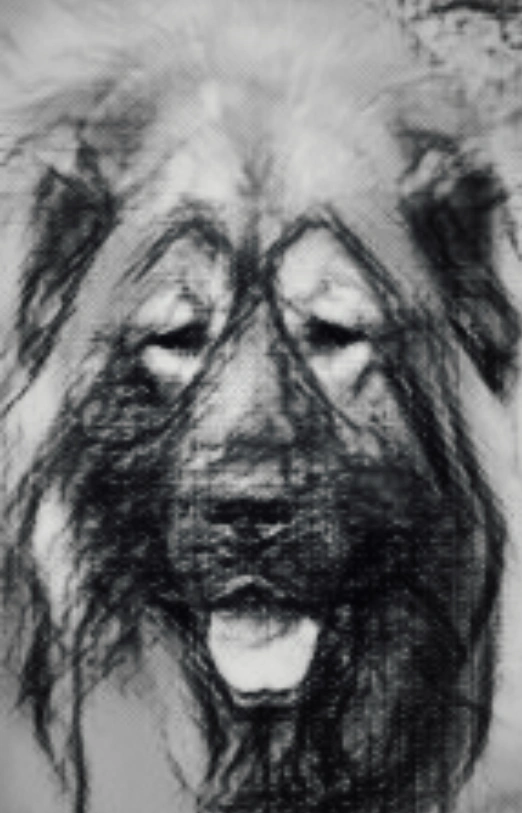 Huan the Hound of Valinor | The New Notion Club Archives | Fandom