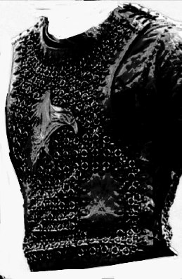 Ringmail | The New Notion Club Archives | Fandom