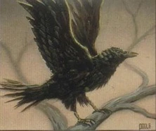 Roac the Raven | The New Notion Club Archives | Fandom