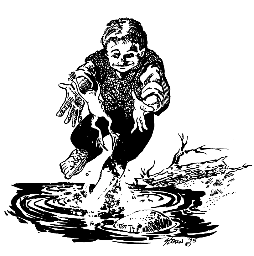 Perry-the-Winkle | The New Notion Club Archives | Fandom