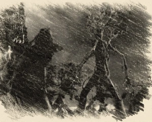 Beechbone | The New Notion Club Archives | Fandom