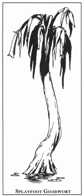 Splayfoot Goodwart | The New Notion Club Archives | Fandom