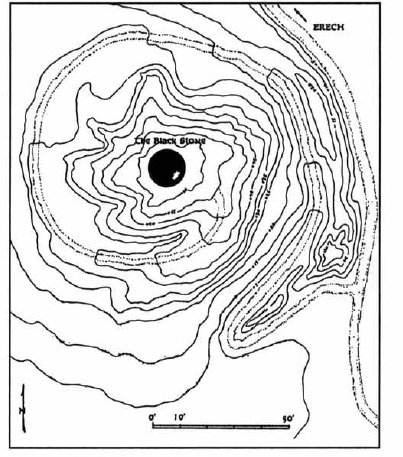 Erech | The New Notion Club Archives | Fandom