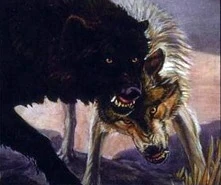 Wolf-hounds | The New Notion Club Archives | Fandom