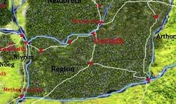 Forest of Region | The New Notion Club Archives | Fandom