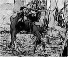 Bill the Pony | The New Notion Club Archives | Fandom