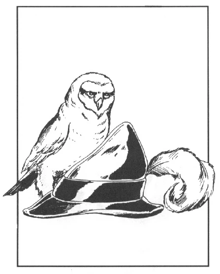 Barrow Owls | The New Notion Club Archives | Fandom