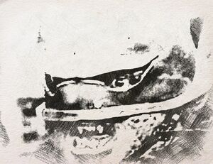 Burzin | The New Notion Club Archives | Fandom