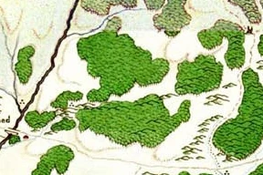 Trollwood | The New Notion Club Archives | Fandom