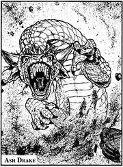 Ash-drakes | The New Notion Club Archives | Fandom