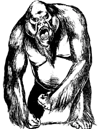 Grey apes | The New Notion Club Archives | Fandom