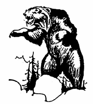 Fell bears | The New Notion Club Archives | Fandom