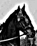 Roheryn | The New Notion Club Archives | Fandom