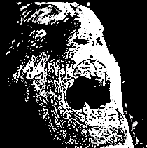 Greb | The New Notion Club Archives | Fandom