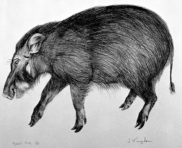 Great Boars of Rhûn | The New Notion Club Archives | Fandom