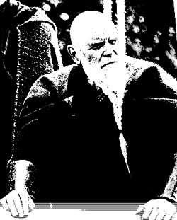 Aldor the Old | The New Notion Club Archives | Fandom