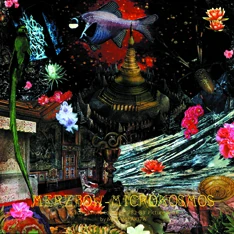 Micro Kosmos | Merzbow Wiki | Fandom