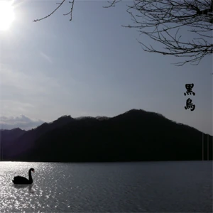 13 Japanese Birds Vol. 8: Kokuchou | Merzbow Wiki | Fandom