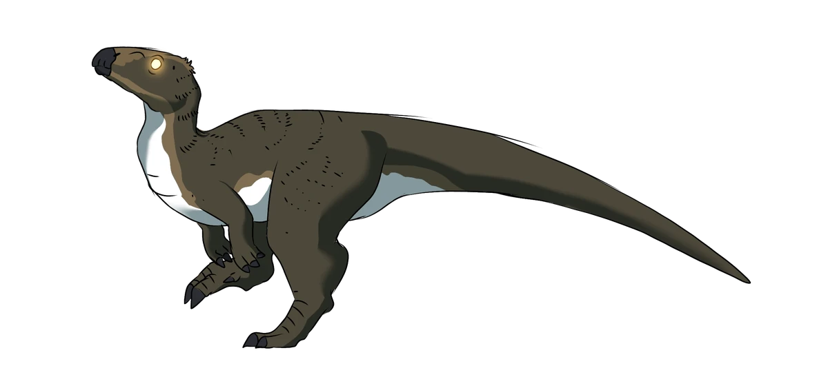 Fabrosaurus | Mesozoico Wiki | Fandom