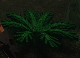 Fern | Mesozoico Wiki | Fandom