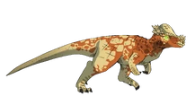 Pachycephalosaurus | Mesozoico Wiki | Fandom