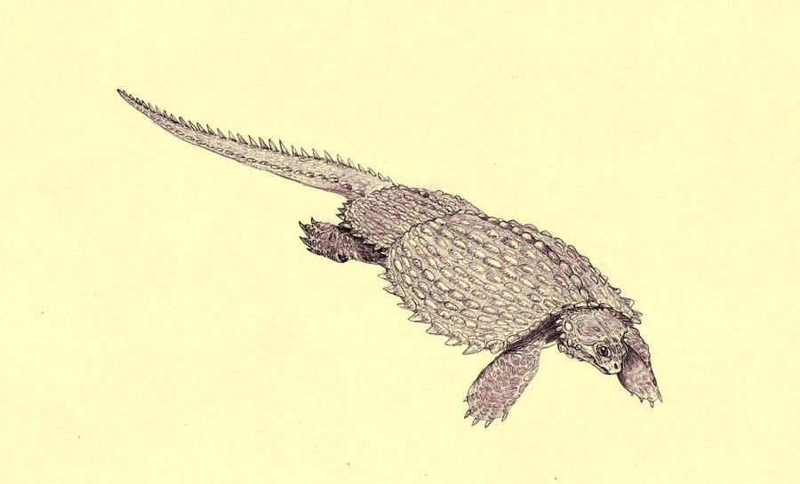 Cyamodus | Mesozoic Wikia | Fandom