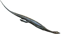 Pachypleurosaurus | Mesozoic Wikia | Fandom