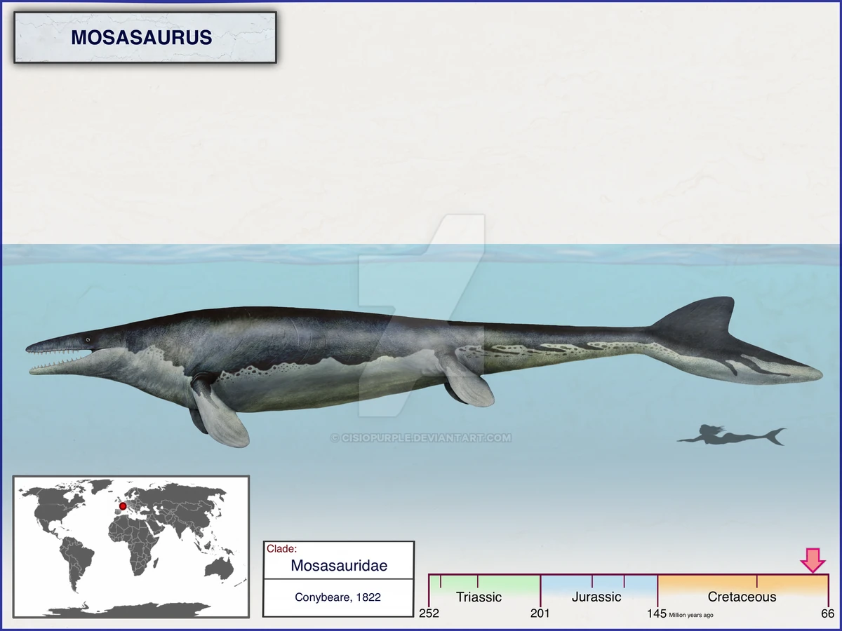 Mosasaurus | Mesozoic Life Wiki | Fandom
