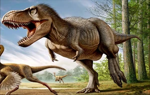 Tyrannosaurus Rex | Mesozoic Wiki | Fandom