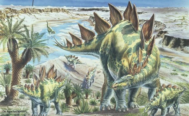 Stegosaurus | Dino Wiki | Fandom