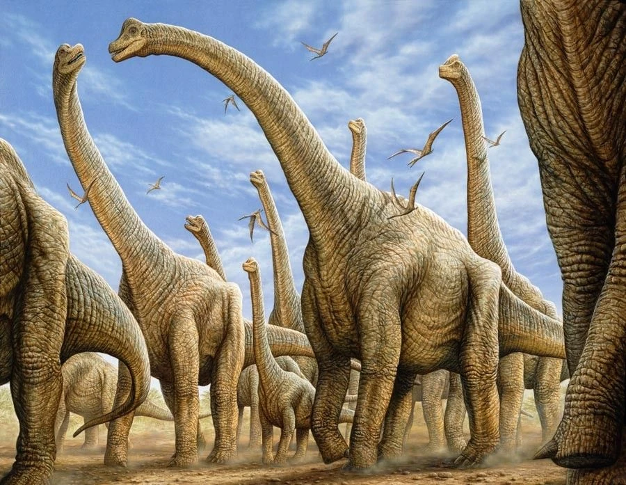 Brachiosaurus | Dino Wiki | Fandom