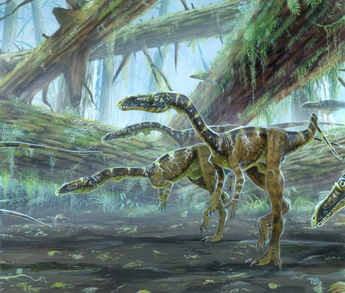 Coelophysis | Mesozoic Era Wiki | Fandom
