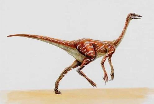 Ornithomimus | Mesozoic Era Wiki | Fandom