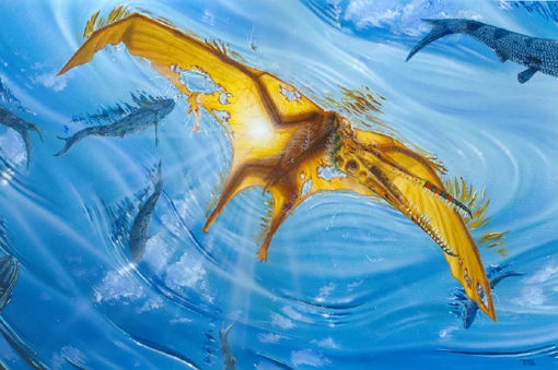 Pterodactylus | Mesozoic Era Wiki | Fandom