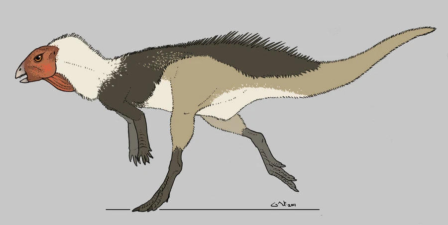Hypsilophodon | Mesozoic Era Wiki | Fandom