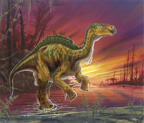 Category:Iguanodonts | Mesozoic Era Wiki | Fandom